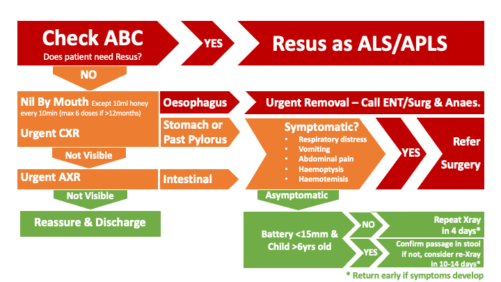 Button Battery Ingestion – EMbeds.co.uk