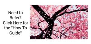 BLOSM – EMbeds.co.uk