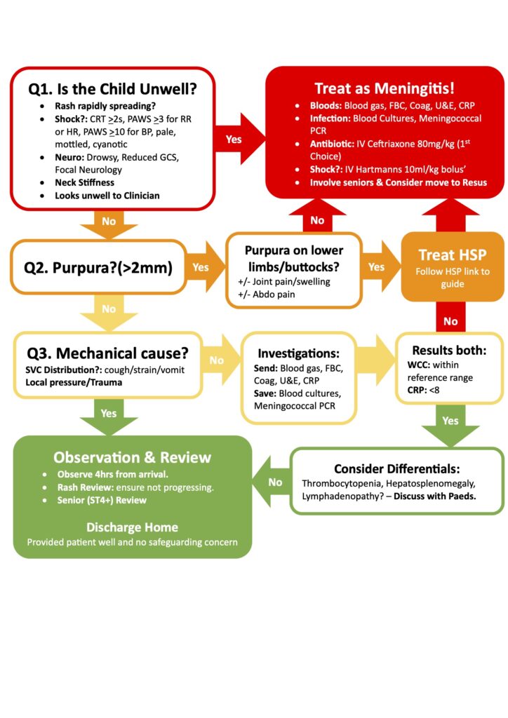 Non-Blanching Rash – EMbeds.co.uk