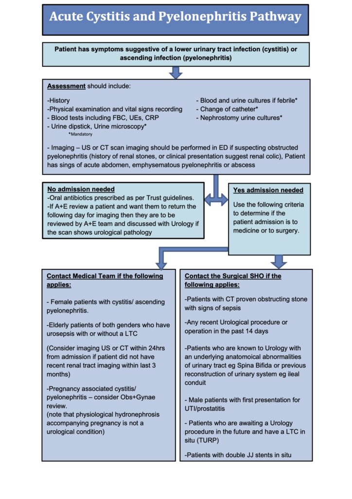 Acute Cystitis and Pyelonephritis Pathway – EMbeds.co.uk